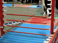 Obstacle GIFs - Get the best gif on GIFER