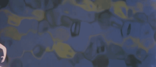 009 GIFs - Get the best gif on GIFER