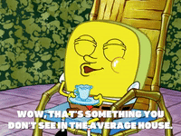 Not normal GIFs - Get the best gif on GIFER