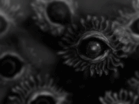 Eyeball GIFs - Get the best gif on GIFER