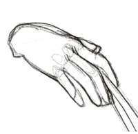 Invisibility GIFs - Get the best gif on GIFER