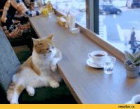 Loneliness GIFs - Get the best gif on GIFER