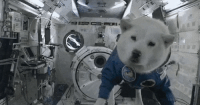 Floating GIFs - Get the best gif on GIFER