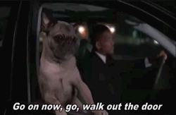 Men in black 2 GIF - Conseguir el mejor gif en GIFER