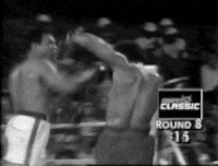 Ali GIFs - Get the best gif on GIFER