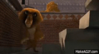 Madagascar GIFs - Get the best gif on GIFER