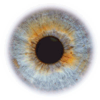 Oeil GIFs - Obtenez le meilleur gif sur GIFER