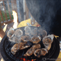 Grilling GIFs - Get the best gif on GIFER
