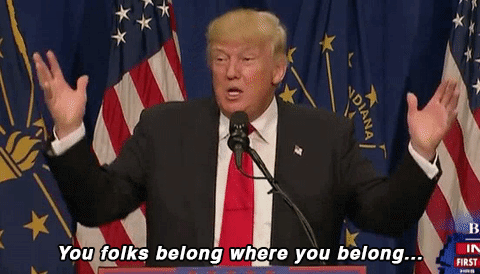 Elecciones GIFs - Get the best gif on GIFER