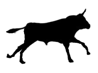 Bull GIFs - Get the best gif on GIFER