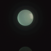 Ball GIFs - Get the best gif on GIFER