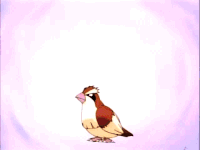 Pidgeotto GIFs - Get the best gif on GIFER