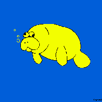 Manatees GIFs - Get the best gif on GIFER