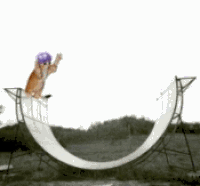 Weeeeeee GIFs - Get the best gif on GIFER