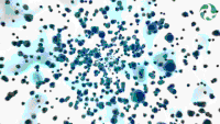 Polarised molecules GIFs - Get the best gif on GIFER