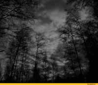 Ambient GIFs - Get the best gif on GIFER