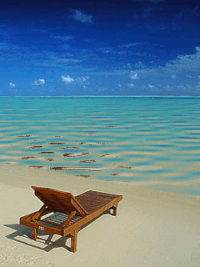 Beach GIFs - Get the best gif on GIFER