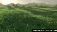 Campo GIFs - Get the best gif on GIFER