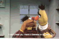 Bert GIFs - Get the best gif on GIFER