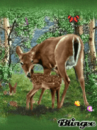 Fawn GIFs - Get the best gif on GIFER