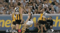 Afl GIFs - Get the best gif on GIFER