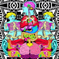 Internal organs GIF - Conseguir el mejor gif en GIFER
