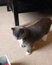 Activities GIFs - Get the best gif on GIFER