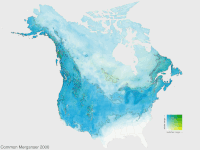 Tracker GIFs - Get the best gif on GIFER