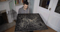 Cymatics GIFs - Get the best gif on GIFER