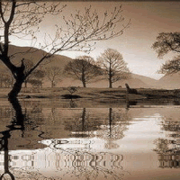 Landschaft GIFs - Get the best gif on GIFER