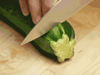 Scheibe GIFs - Get the best gif on GIFER