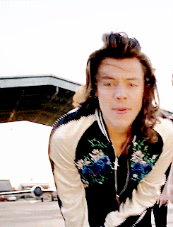 Dmd harry GIFs - Get the best gif on GIFER