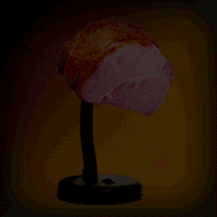 Ham GIFs - Get the best gif on GIFER