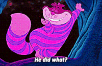 Closing GIFs - Get the best gif on GIFER