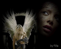 Immobile GIFs - Get the best gif on GIFER
