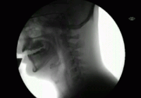 Swallows GIF - Conseguir el mejor gif en GIFER