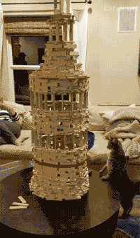 Jenga GIFs - Get the best gif on GIFER