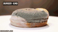 Mold GIFs - Get the best gif on GIFER