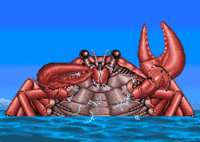 Wowie GIFs - Get the best gif on GIFER