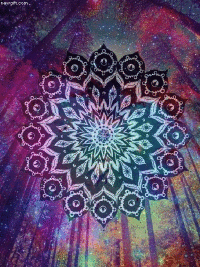 Goa GIFs - Get the best gif on GIFER