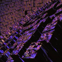 Form GIFs - Get the best gif on GIFER