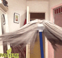 Salon GIFs - Get the best gif on GIFER