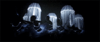 Shag GIFs - Get the best gif on GIFER