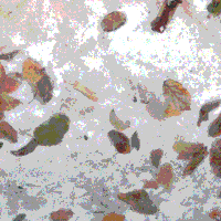 Wobble GIFs - Get the best gif on GIFER