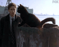 X files GIFs - Get the best gif on GIFER