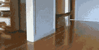 Dvd GIFs - Get the best gif on GIFER