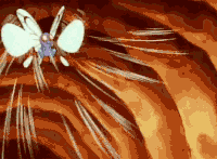 Butterfree GIFs - Get the best gif on GIFER