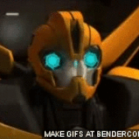 Bumblebee GIFs - Get the best gif on GIFER