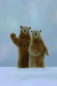 Csu GIFs - Get the best gif on GIFER
