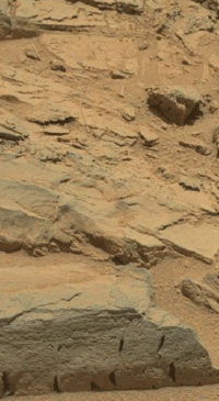 Curiosity GIFs - Get the best gif on GIFER